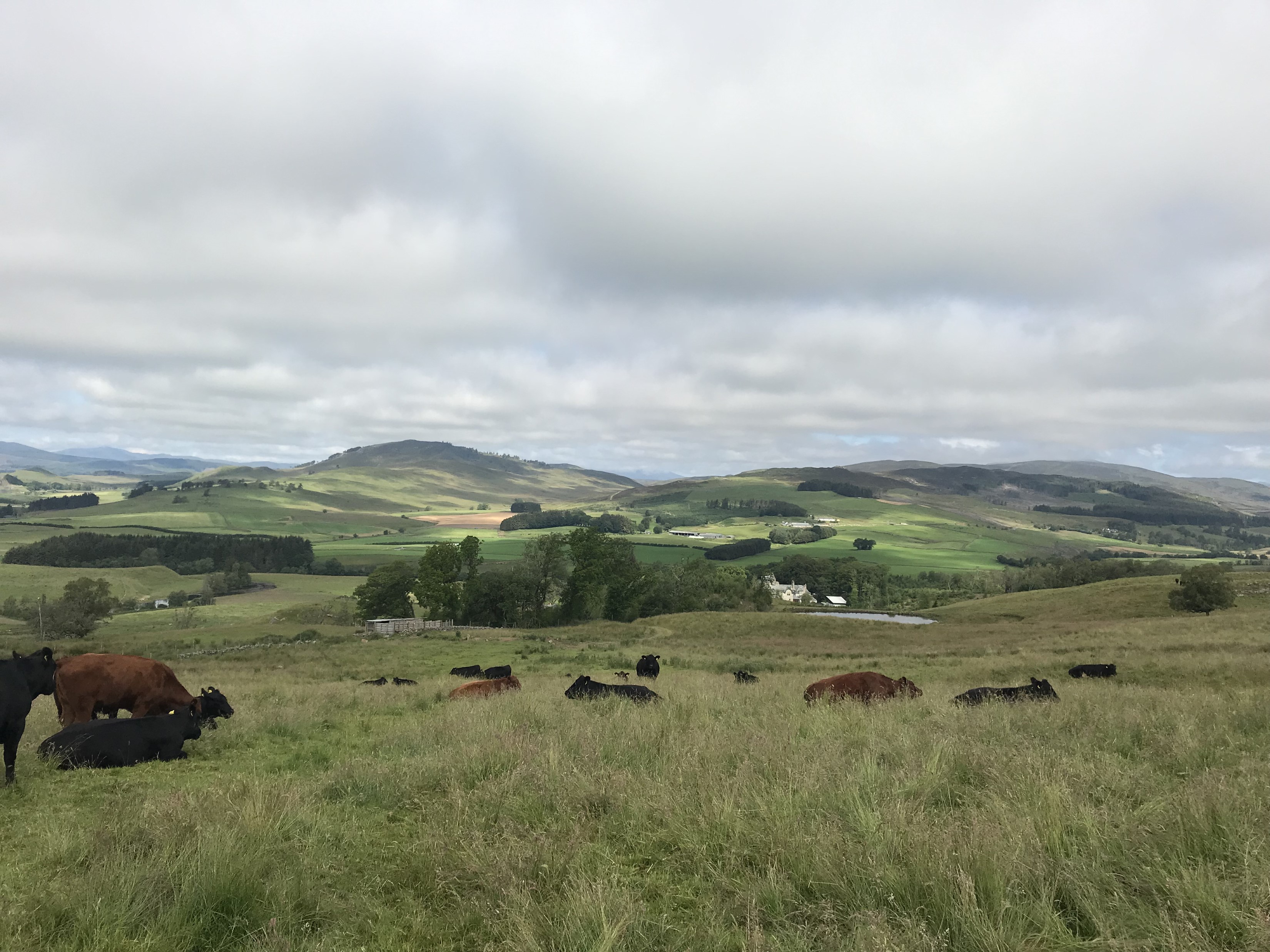 Haste Ye Back - Solid Luxury - Scotland - Self-catering Holiday